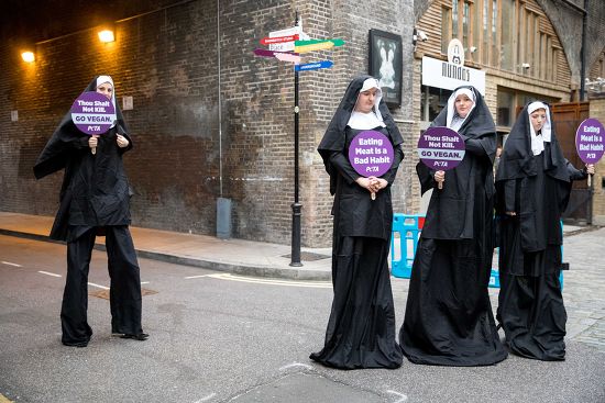Peta Demonstrators Dress Nuns Demonstrate Against Editorial Stock Photo ...