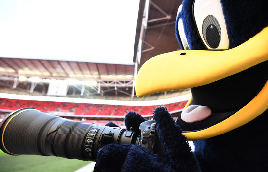 Chirpy One Spurs Mascots Tries His Editorial Stock Photo - Stock Image ...