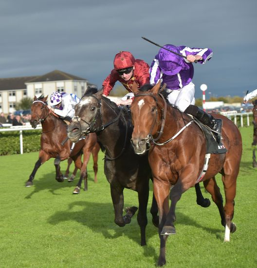 R Saxon Warrior Ryan Moore Wins Editorial Stock Photo - Stock Image ...