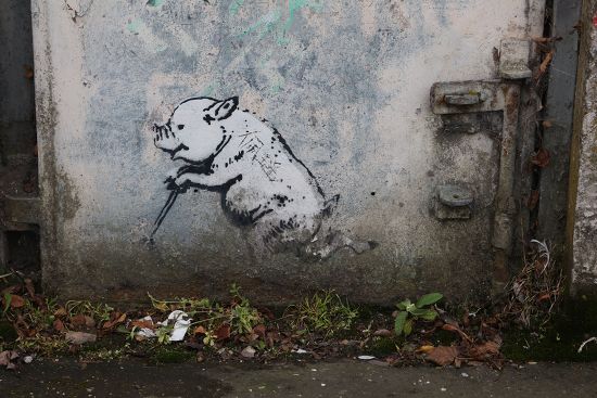 Pig Mural Style Banksy Gate Wall Editorial Stock Photo - Stock Image ...