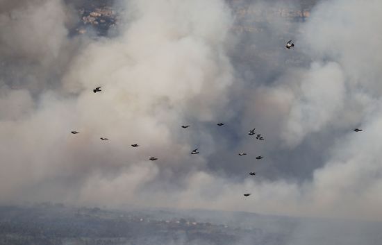 Flock Birds Flies Amidst Thick Smoke Editorial Stock Photo - Stock ...