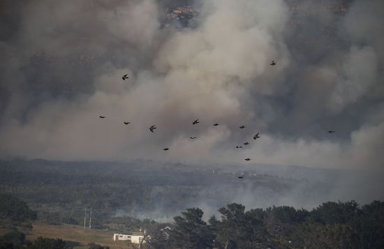 Flock Birds Flies Amidst Thick Smoke Editorial Stock Photo - Stock ...