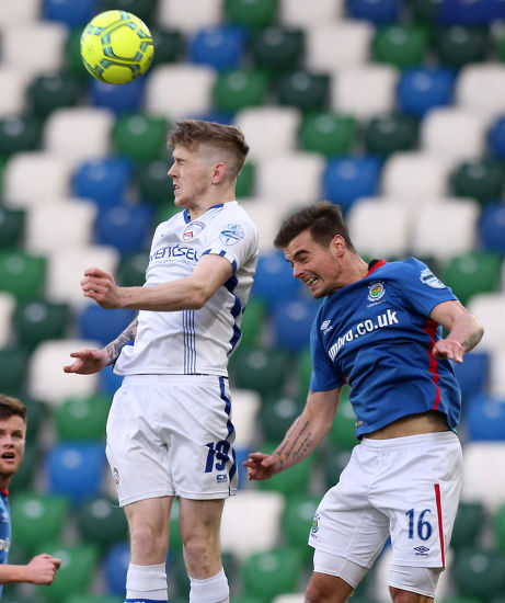 Linfield Vs Coleraine Linfields Matthew Clarke Editorial Stock Photo ...