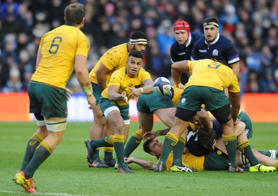 Will Genia Australia Scrum Half Editorial Stock Photo - Stock Image ...