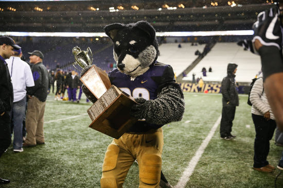 Washington Mascot Harry Husky Celebrates Apple Editorial Stock Photo ...