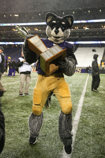 Washington Mascot Harry Husky Celebrates Apple Editorial Stock Photo ...