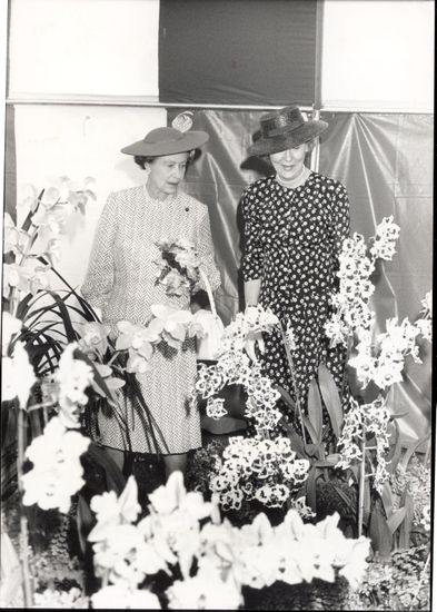Queen Elizabeth Ii Countess Cromer Display Editorial Stock Photo ...