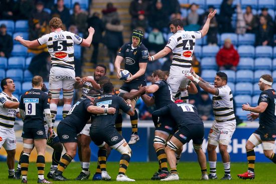 Wasps Lock James Gaskell 5 Catches Editorial Stock Photo - Stock Image ...