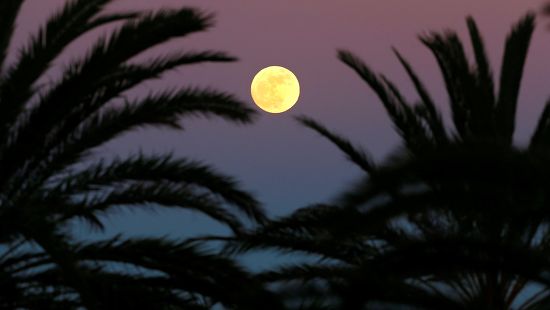 View First Full Moon 2018 Over Editorial Stock Photo - Stock Image ...