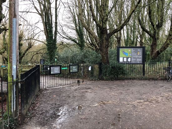 Ladies Pond On Londons Hampstead Heath Editorial Stock Photo - Stock ...