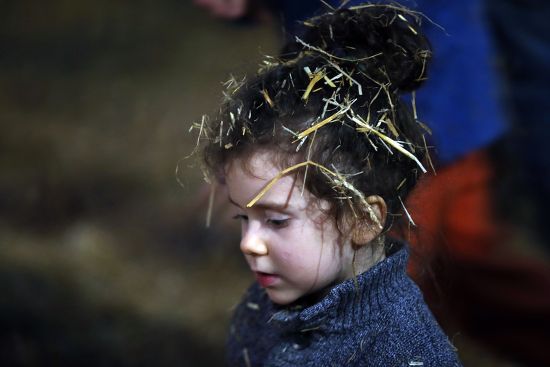 Child Hay Hair Attends Burn Dried Editorial Stock Photo - Stock Image ...