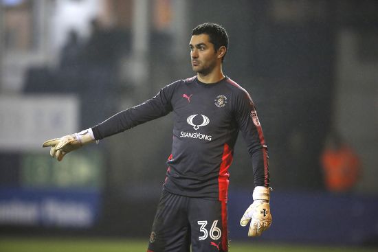 James Shea Luton Town Editorial Stock Photo - Stock Image | Shutterstock