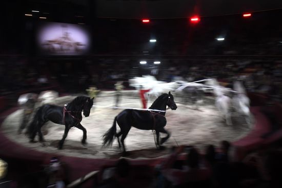 Duo Florian Kevin Richter Performs Horses Editorial Stock Photo - Stock ...