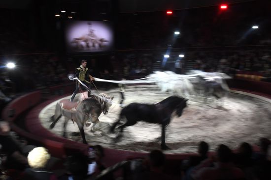 Duo Florian Kevin Richter Performs Horses Editorial Stock Photo - Stock ...