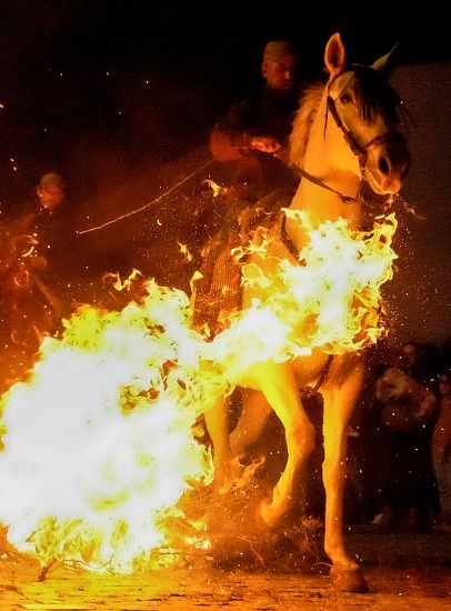 Horses Donkeys Mules Jump Over Fire Editorial Stock Photo - Stock Image ...
