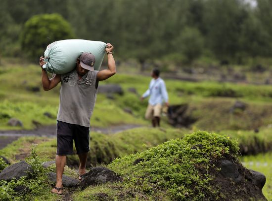 Filipino Villager Carries Sack Harvested Crop Editorial Stock Photo ...