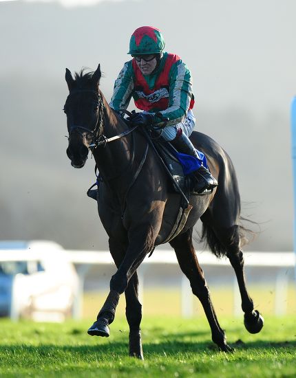 Irish Prince Ridden By David Noonan Editorial Stock Photo - Stock Image ...