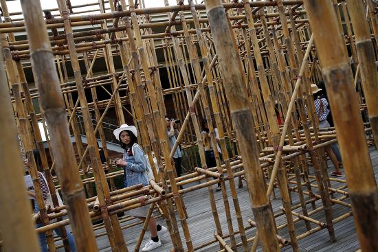 Members Media Walk Through Bamboo Maze Editorial Stock Photo - Stock ...