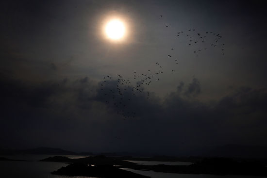 Birds Fly Over Senanayake Samudraya Irrigation Editorial Stock Photo ...