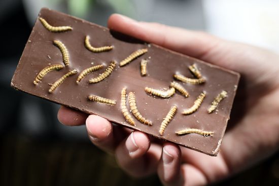 Chocolate Containing Insects Stand International Centre Editorial Stock ...
