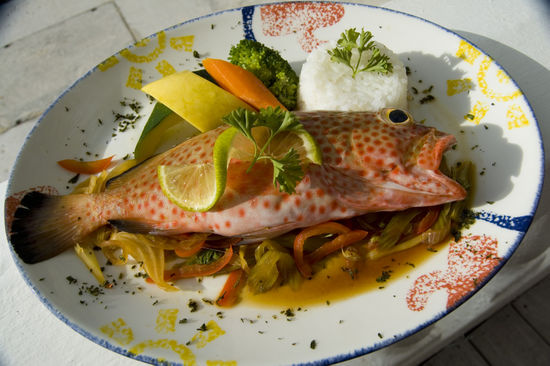 Rock Hine Fish Dish Caribbean Style Editorial Stock Photo - Stock Image ...