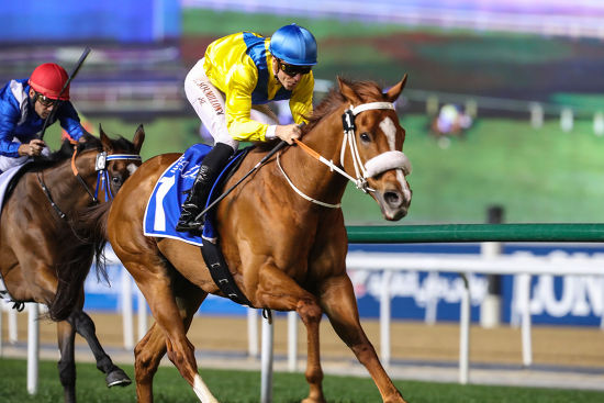 Baroot Ridden By Christophe Soumillion Wins Editorial Stock Photo ...