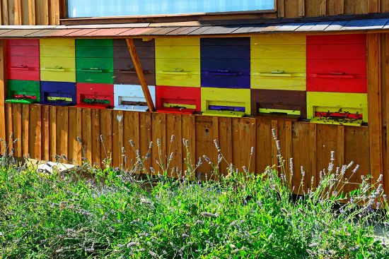 Coloured Bee Hives On House Wall Editorial Stock Photo - Stock Image ...