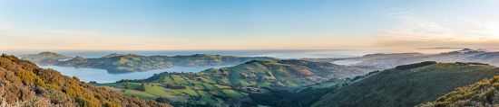 View Mount Cargill Dunedin Otago Harbor Editorial Stock Photo - Stock ...