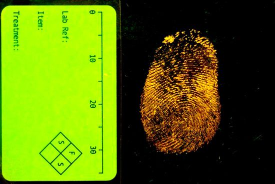 Latent Fingerprint Enhanced Tracer Battery Operated Editorial Stock ...