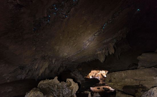Stalactite Cave Firefly Colony Arachnocampa Luminosa Editorial Stock ...