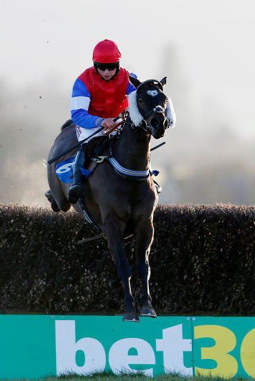 Race Winner Triple Chief Ridden By Editorial Stock Photo - Stock Image ...