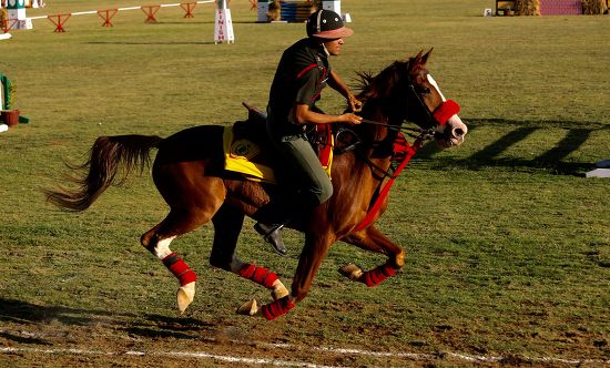 Members Indian Army Service Crops Asc Editorial Stock Photo - Stock ...