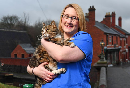 Snitch Cat Weekendersnitch Cat Who Went Editorial Stock Photo - Stock ...
