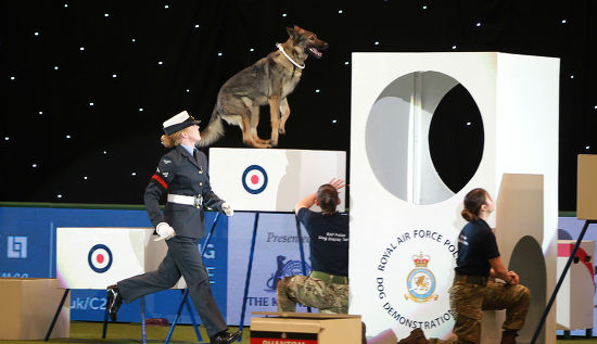 Raf Police Dog Display Editorial Stock Photo - Stock Image | Shutterstock
