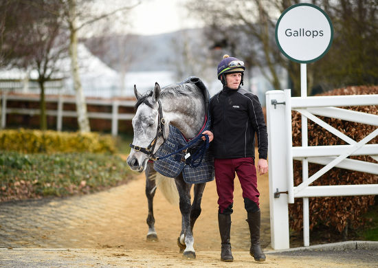 Horses Guided Back Stables After Their Editorial Stock Photo - Stock ...