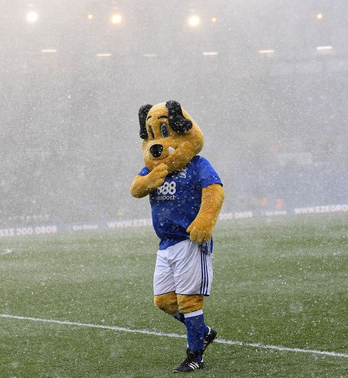 Birmingham City Mascot Beau Brummie Snow Editorial Stock Photo - Stock ...