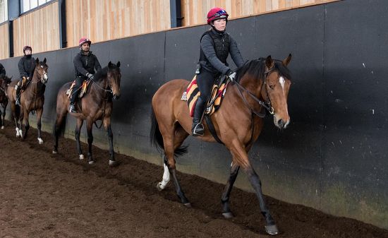 Ballydoyle Stables Scene Trainer Aidan Obriens Editorial Stock Photo ...