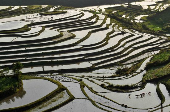 Rice Terraces Guiyang Guzhou Province China Editorial Stock Photo ...