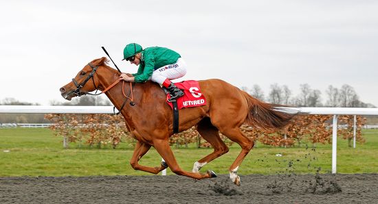 Ravens Lady Andrea Atzeni Wins Betfred Editorial Stock Photo - Stock ...