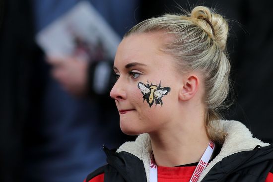 Bees Fan During Brentford Vs Ipswich Editorial Stock Photo - Stock ...