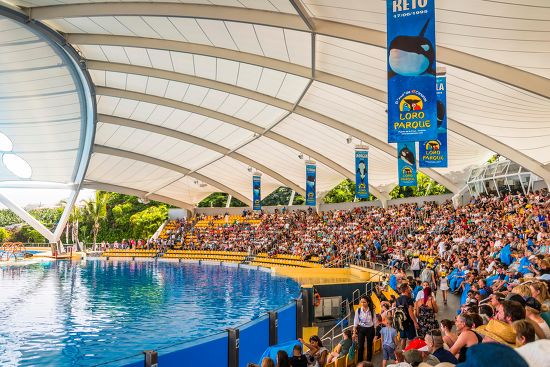 Arena Grandstand Orca Show Basin Loro Editorial Stock Photo - Stock ...