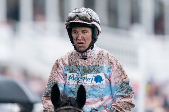 Jester Jet Trained By Tom Lacey Editorial Stock Photo - Stock Image ...
