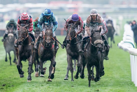 Jester Jet Trained By Tom Lacey Editorial Stock Photo - Stock Image ...