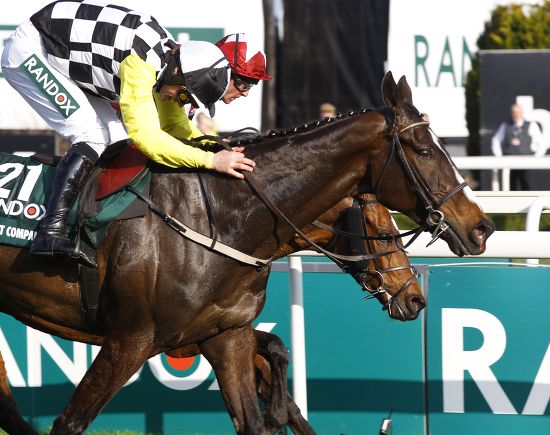 Tiger Roll Davy Russell Just Hold Editorial Stock Photo - Stock Image ...