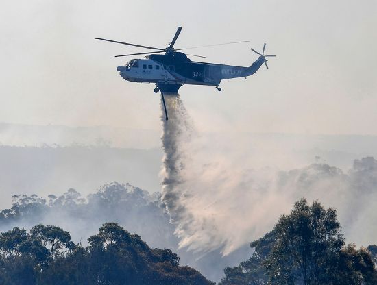 Aerial Firebombing Aircraft Seen Controling Spot Editorial Stock Photo ...