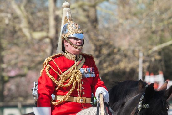 Members Royal Household Cavalry Practice On Editorial Stock Photo ...