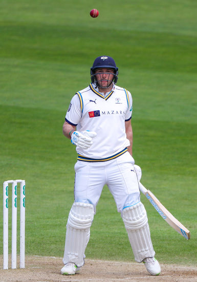Yorkshires Tim Bresnan Bats Editorial Stock Photo - Stock Image ...