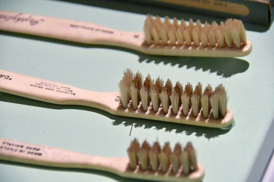 Topbottom Prophylactic Toothbrush Darson Smokers Toothbrush Editorial ...