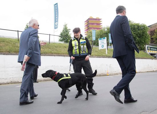 Sniffer Dog Work Racegoers Arrive During Editorial Stock Photo - Stock ...