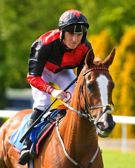 Ali Hunter Ridden By Tim Clark Editorial Stock Photo - Stock Image ...